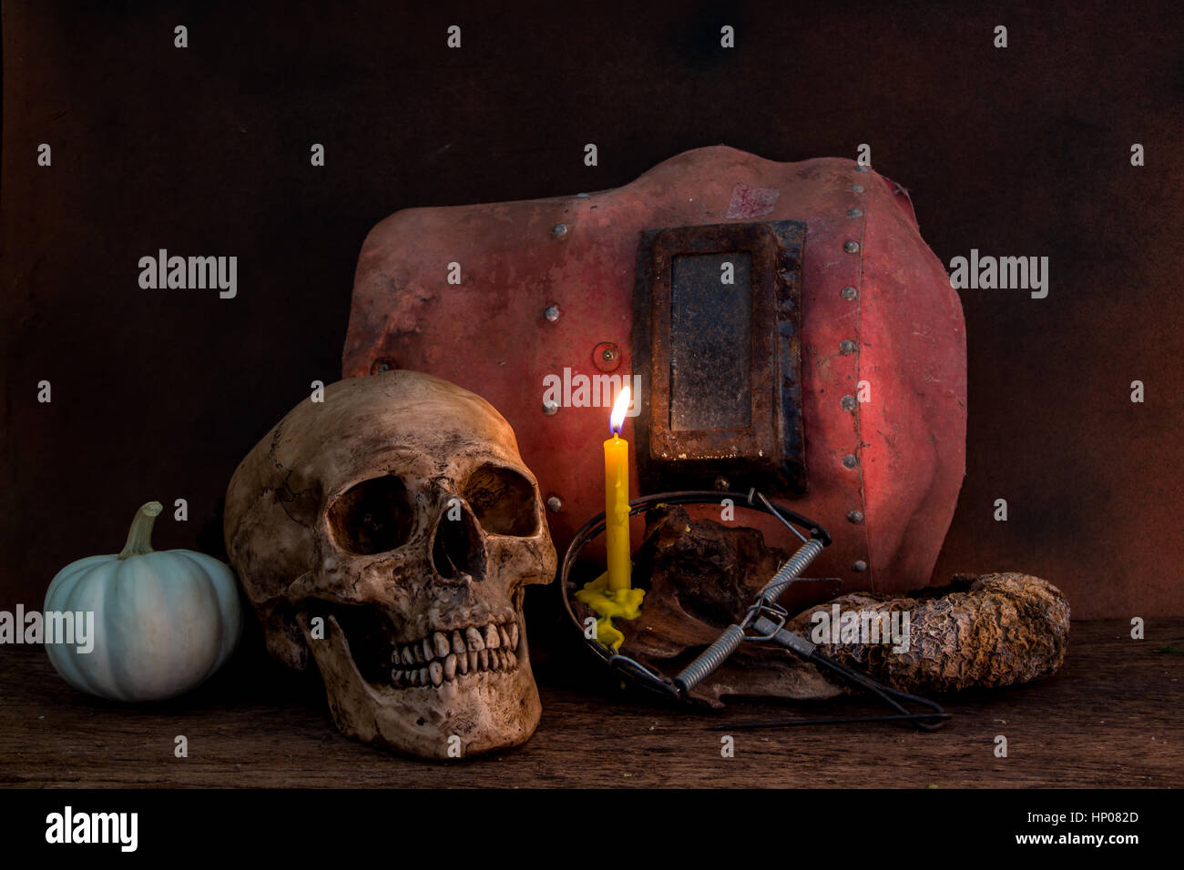 Skull head. Halloween still life Stock Photo - Alamy