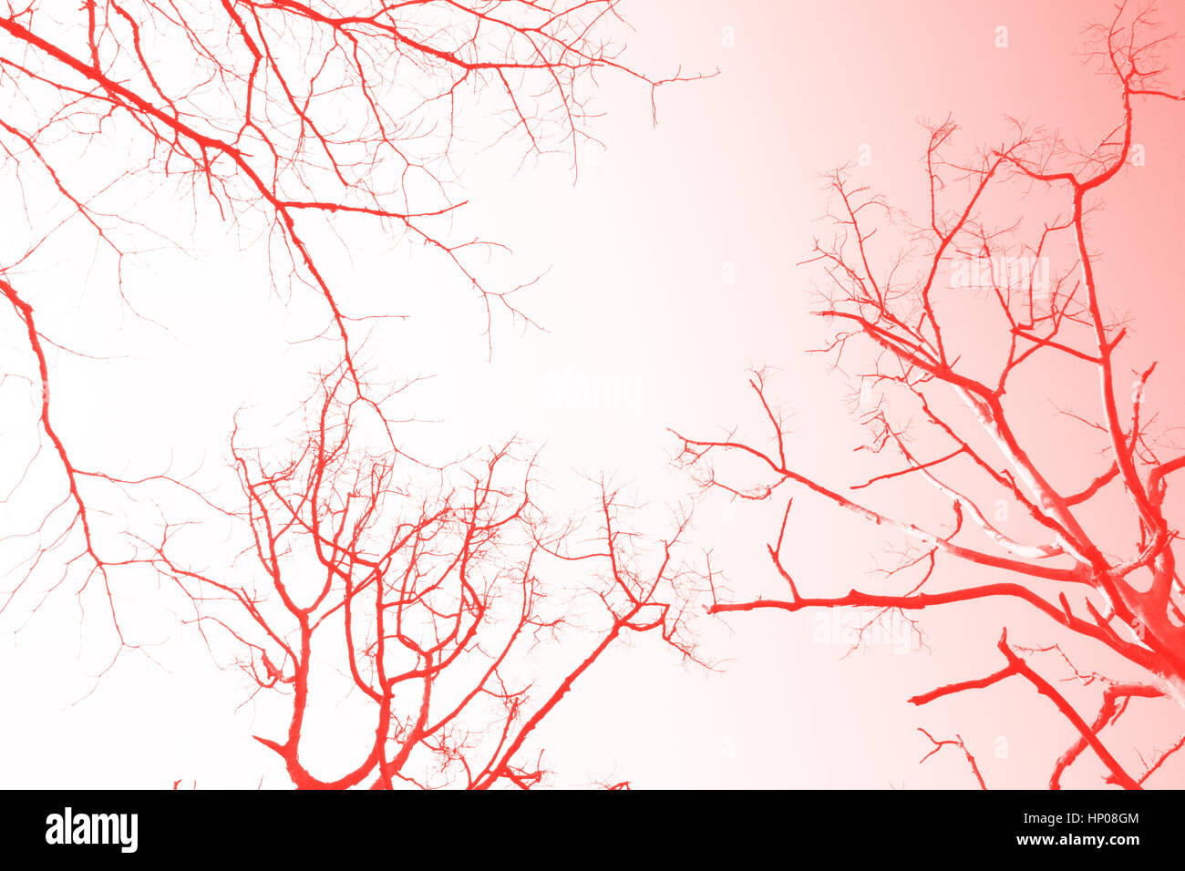 Dry tree background Stock Photo - Alamy