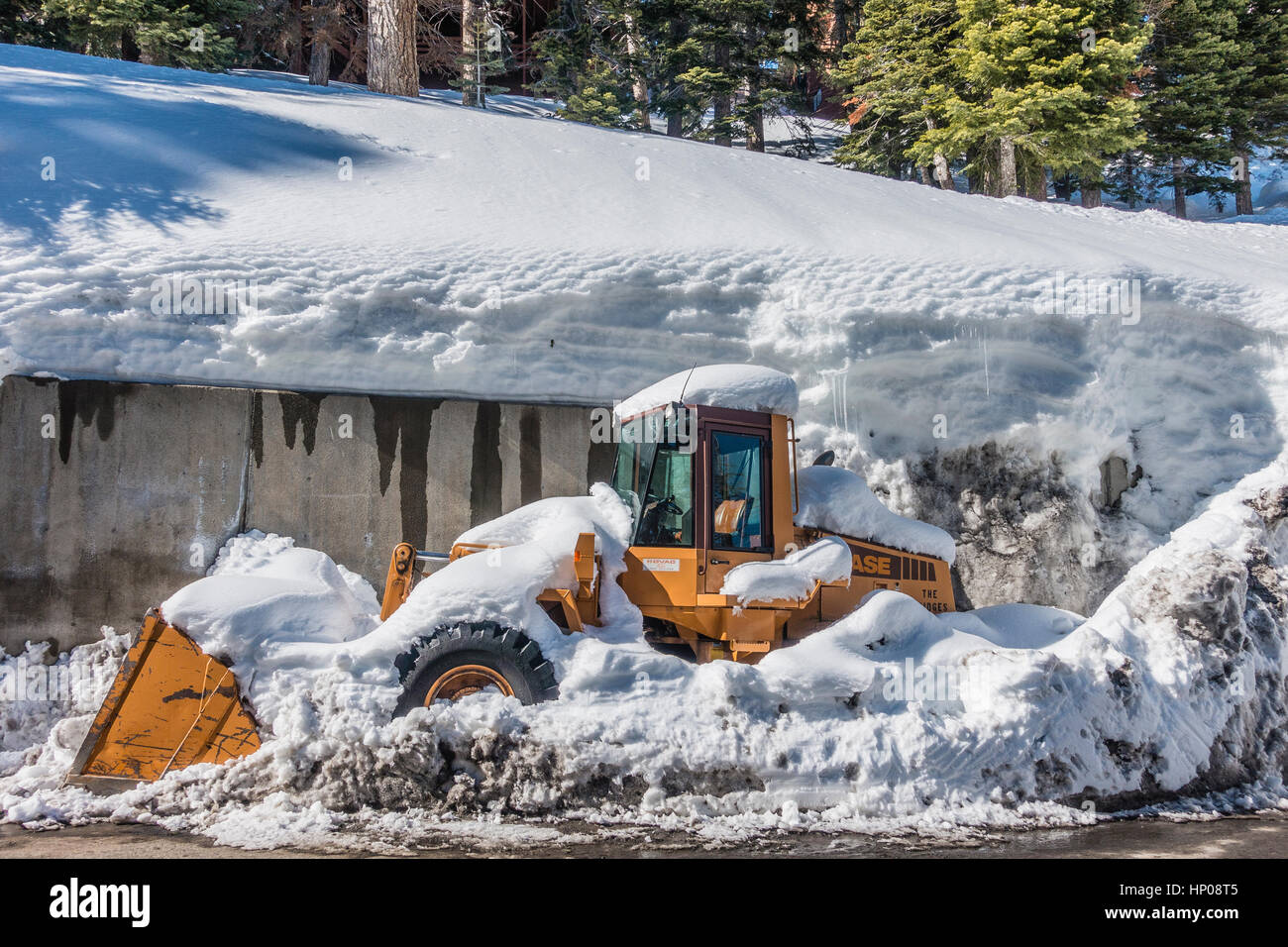 A large yellow snow removal front-loader tractor is covered with snow ...