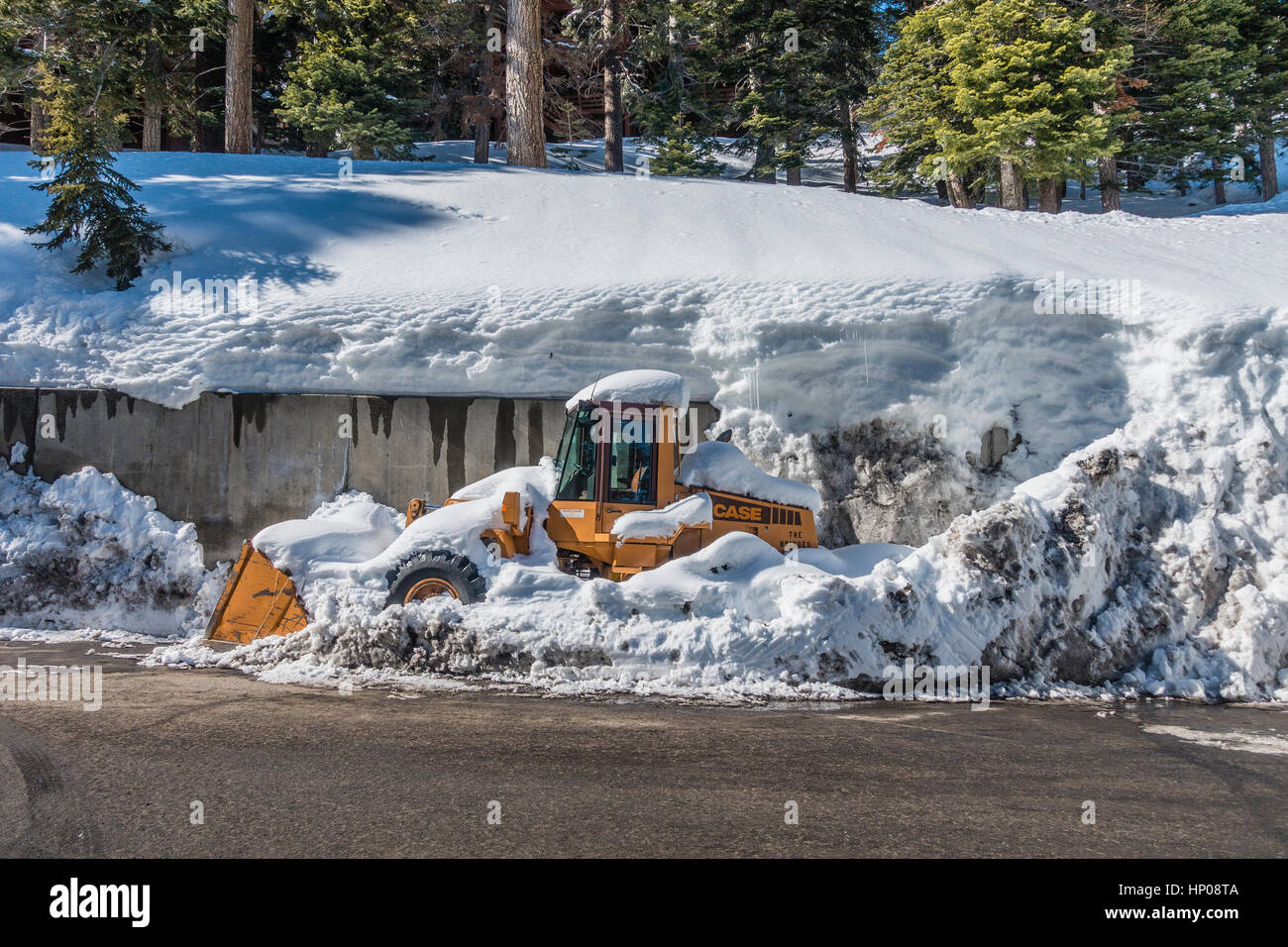 Snowed in funny hi-res stock photography and images - Alamy