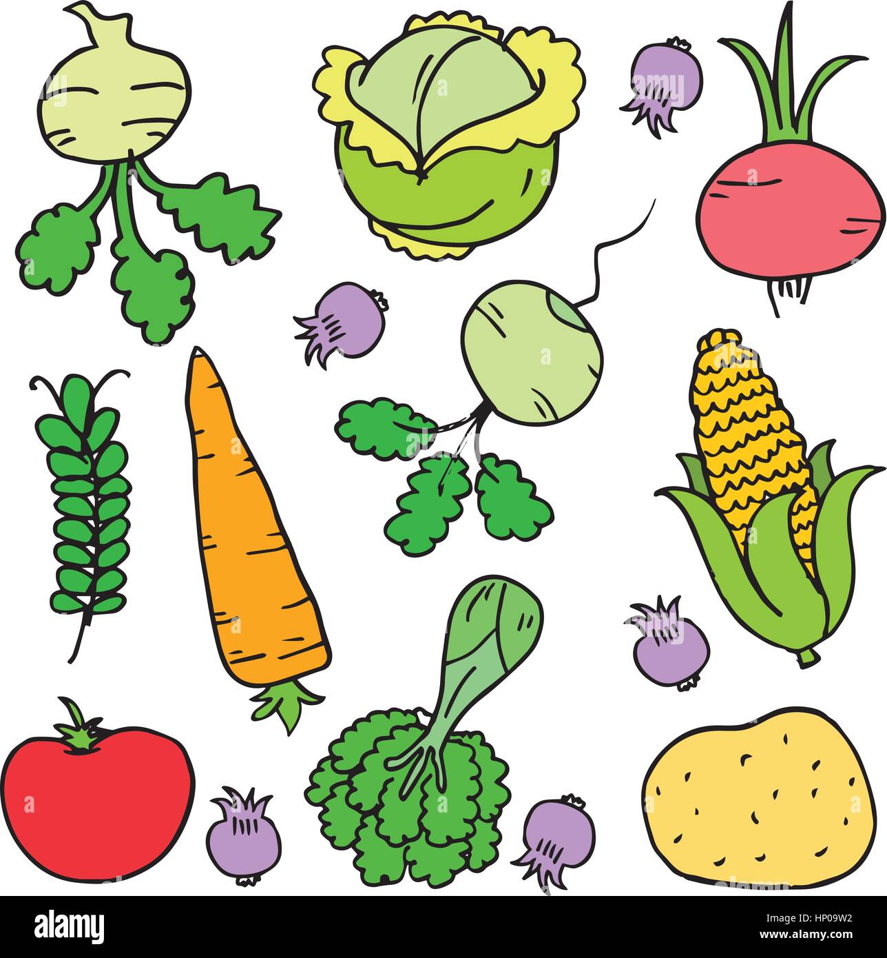 Vegetable various set of doodles vector art Stock Vector Image & Art ...