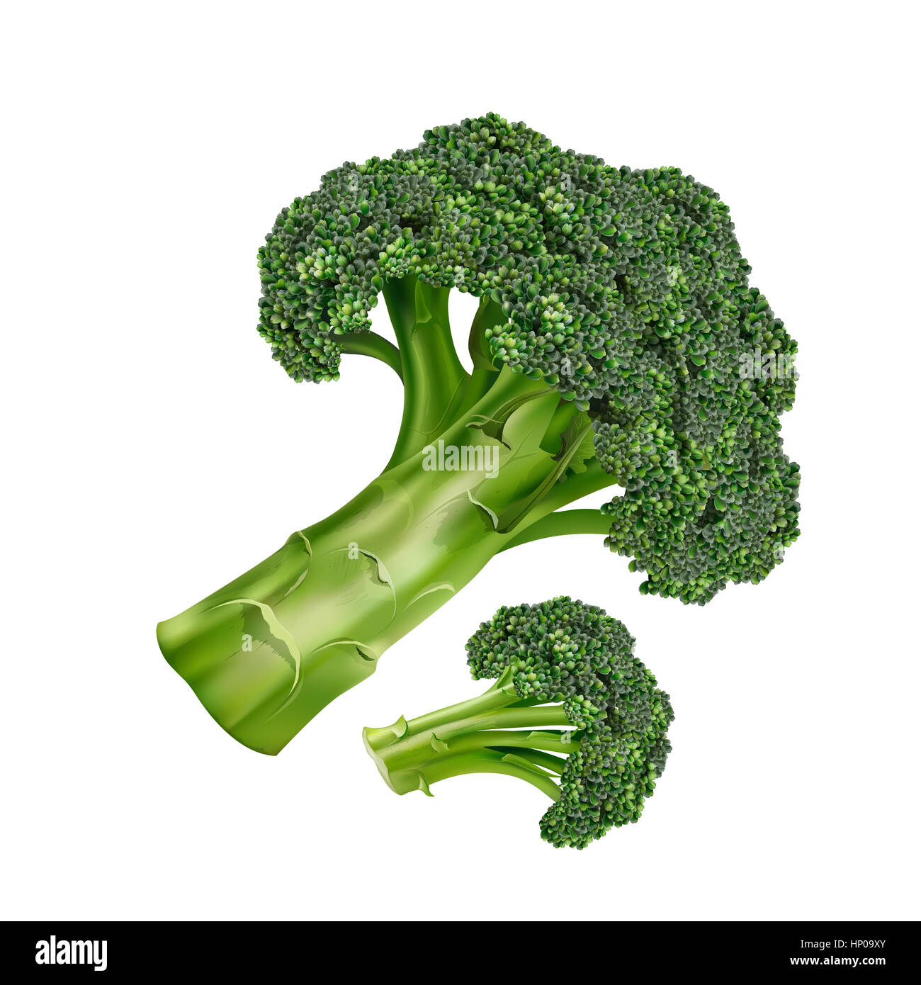 Broccoli clipart Cut Out Stock Images & Pictures - Alamy