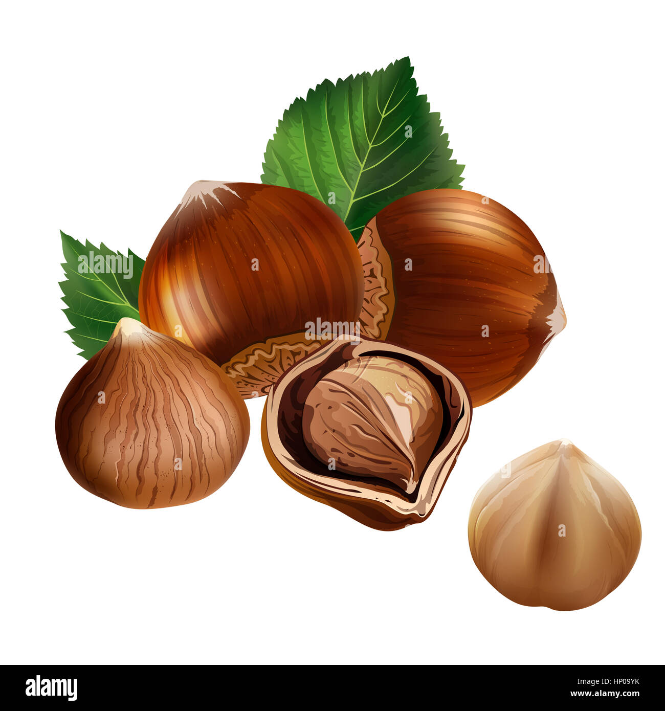 Hazelnuts on white background Stock Photo - Alamy