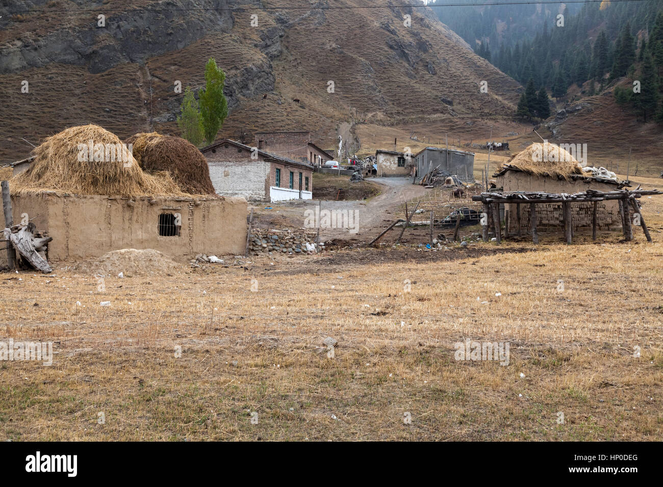 Tian shan region hi-res stock photography and images - Alamy