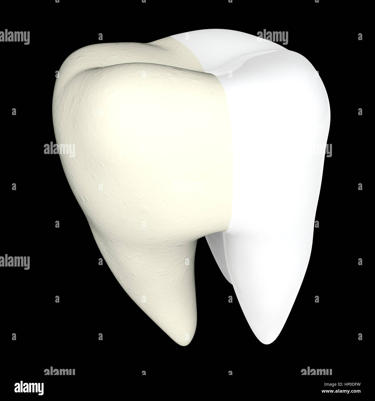 Human tooth 3D render isolated on black background. Dental, medicine ...