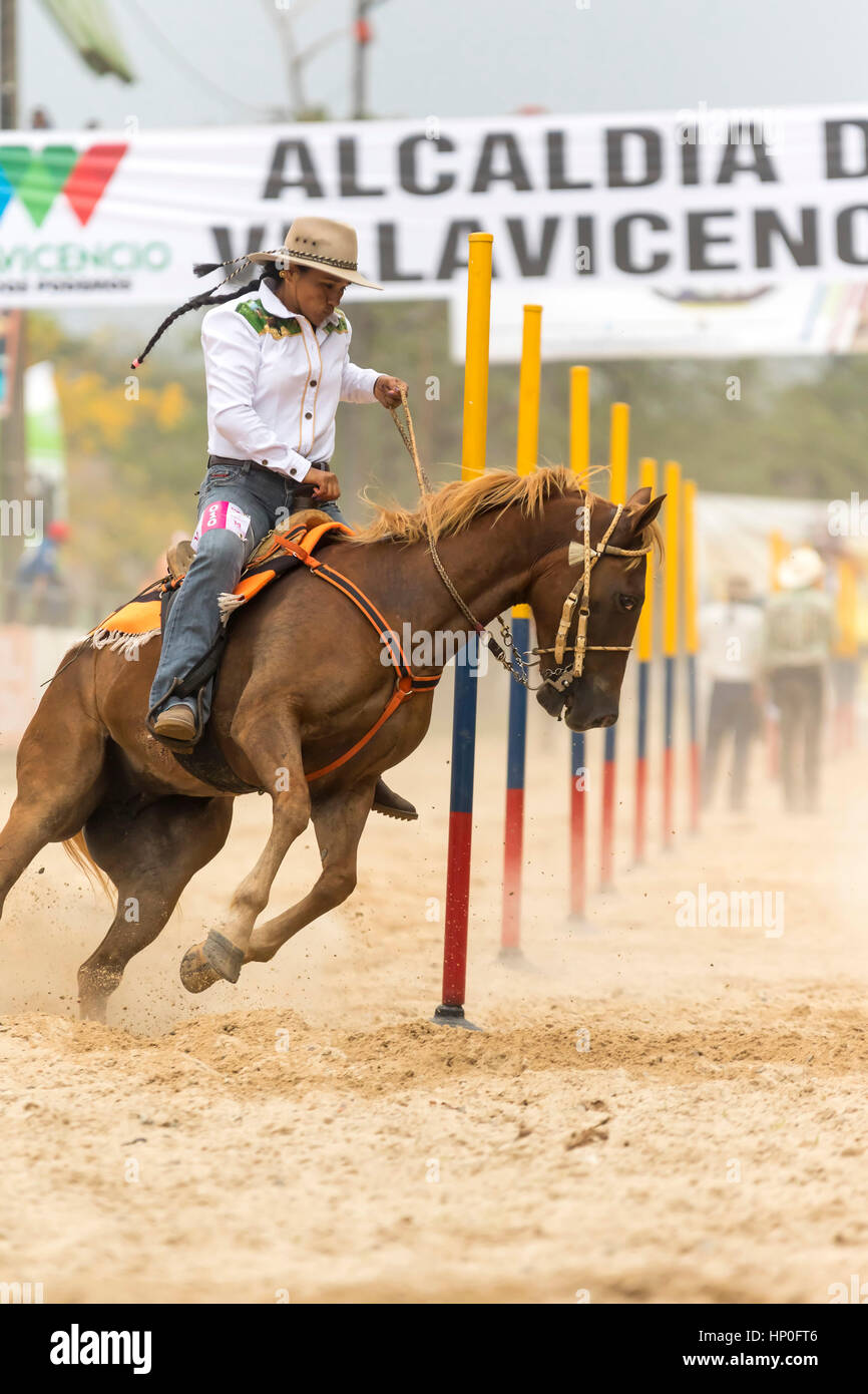 Pole bending race. Female rodeo competition celebrated in the Las ...