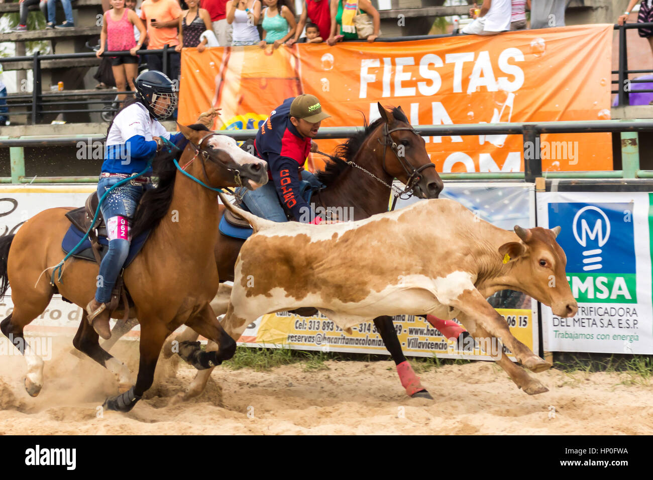 Female coleo Competition. Female rodeo competition celebrated in the ...