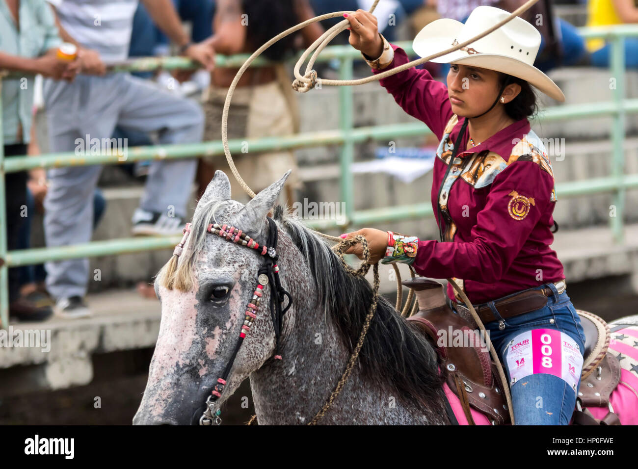 Woman roping. Female rodeo competition celebrated in the Las Malocas ...