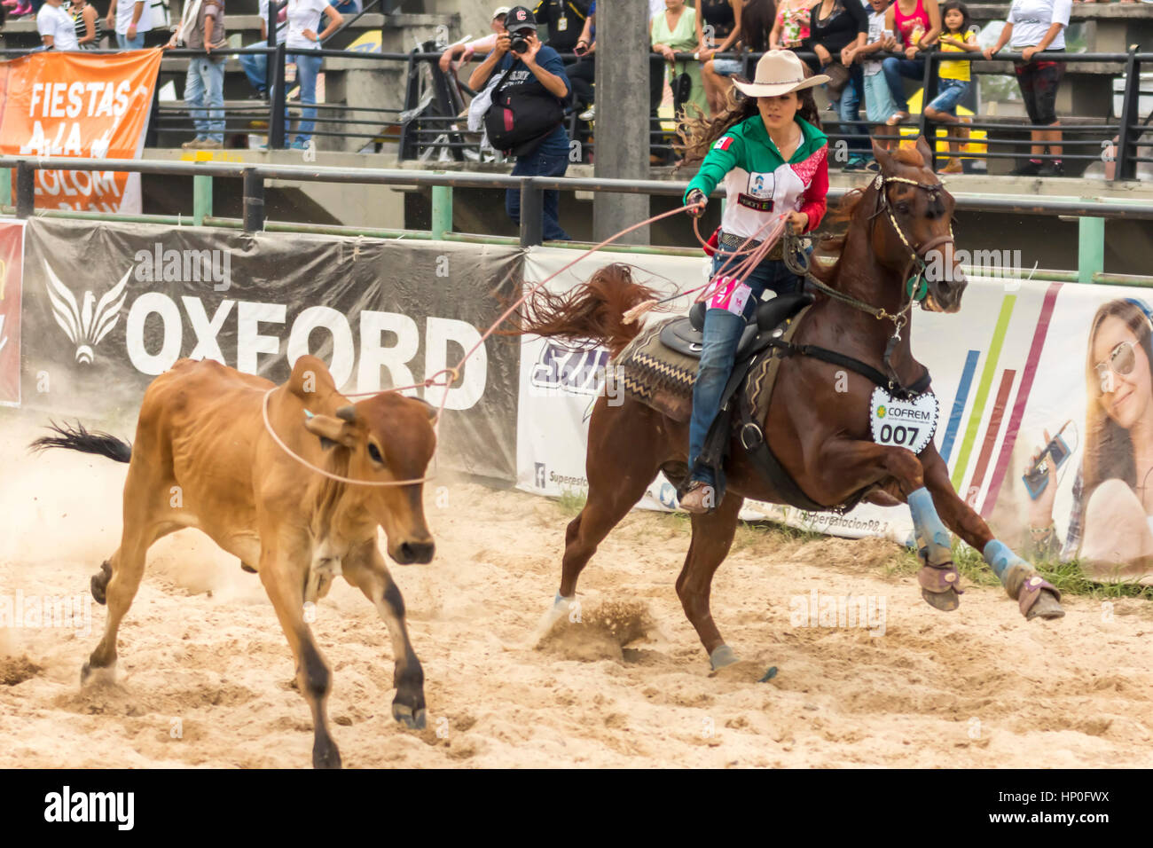 Roping competition. Female rodeo competition celebrated in the Las ...