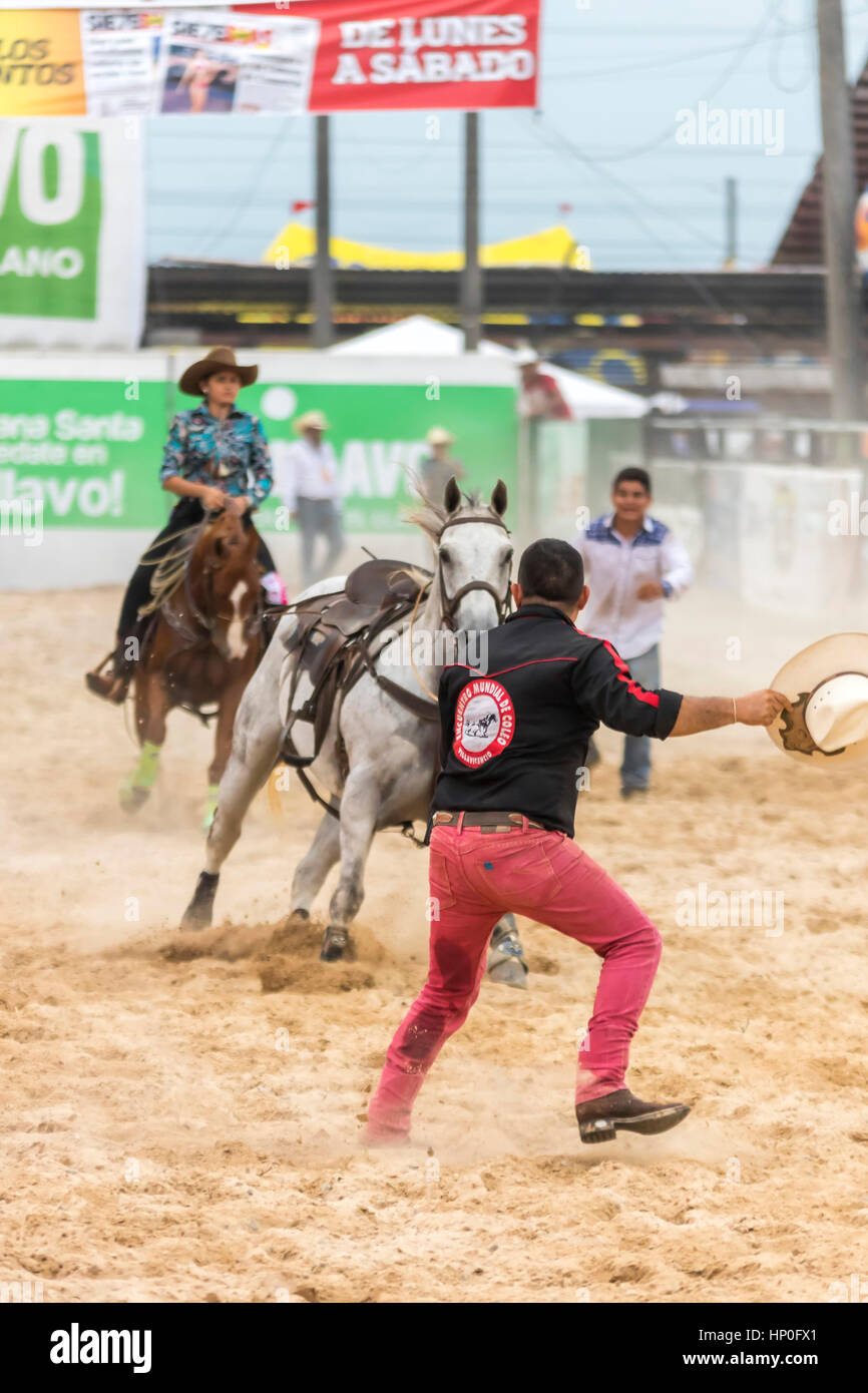 Man stopping runaway horse. Female rodeo competition celebrated in the ...
