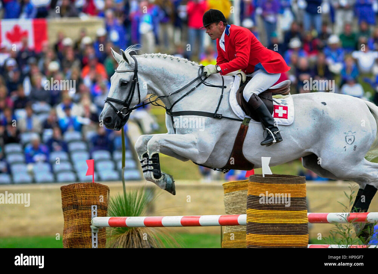 Olympic Jumper Horses