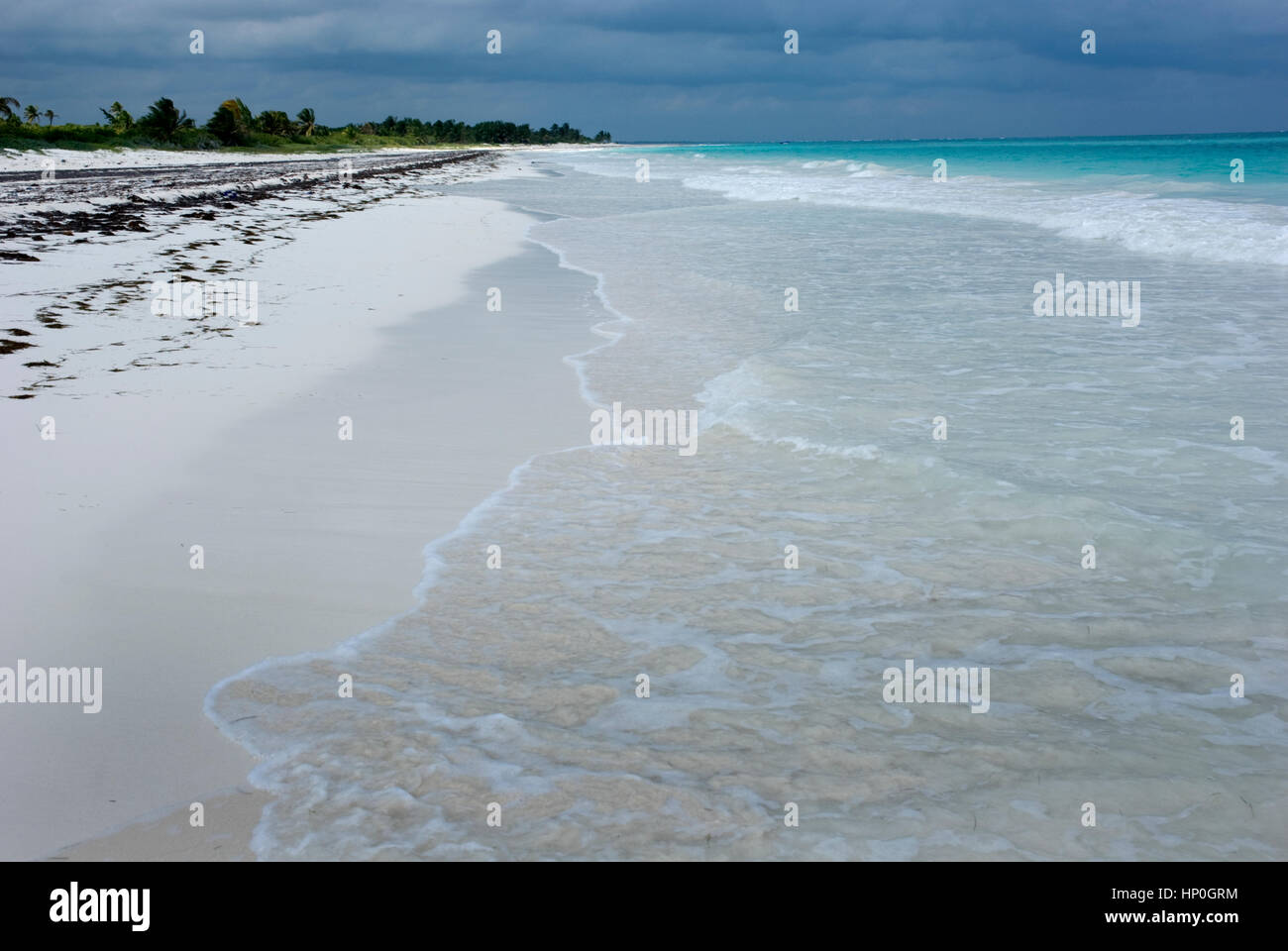 Desrted white sand beach in Sian Ka'an biosphere reserve, Quintana Roo ...