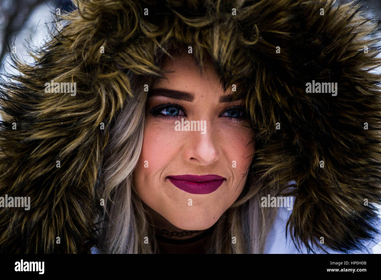 shots in the snow Stock Photo - Alamy