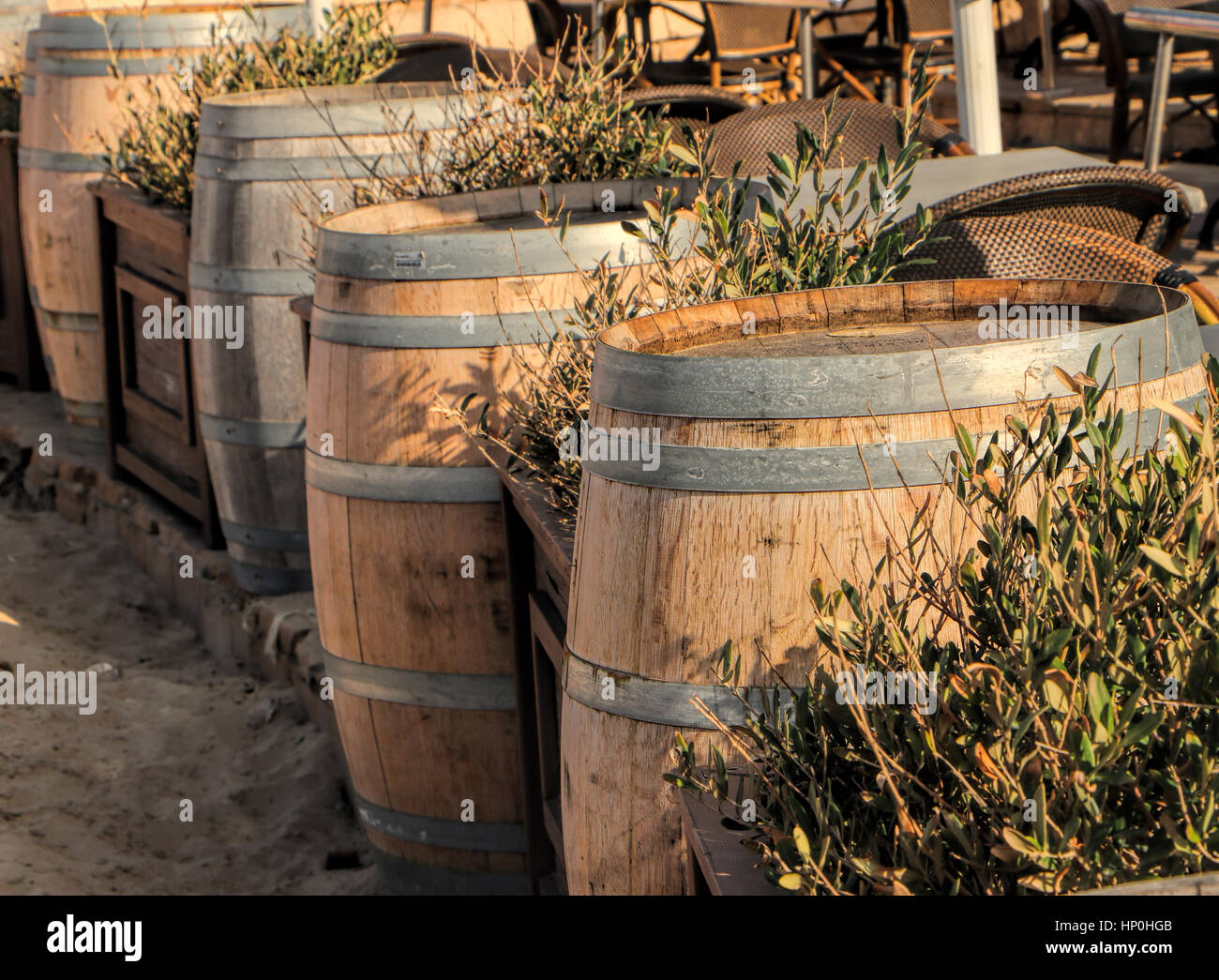 Old wooden barrels on a beach in the background a cafe Stock Photo - Alamy