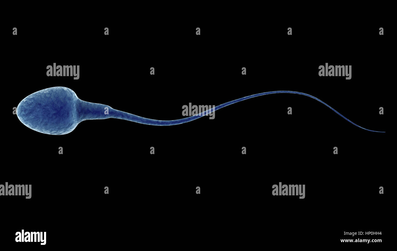 3d rendering blue sperm isolated on black Stock Photo - Alamy