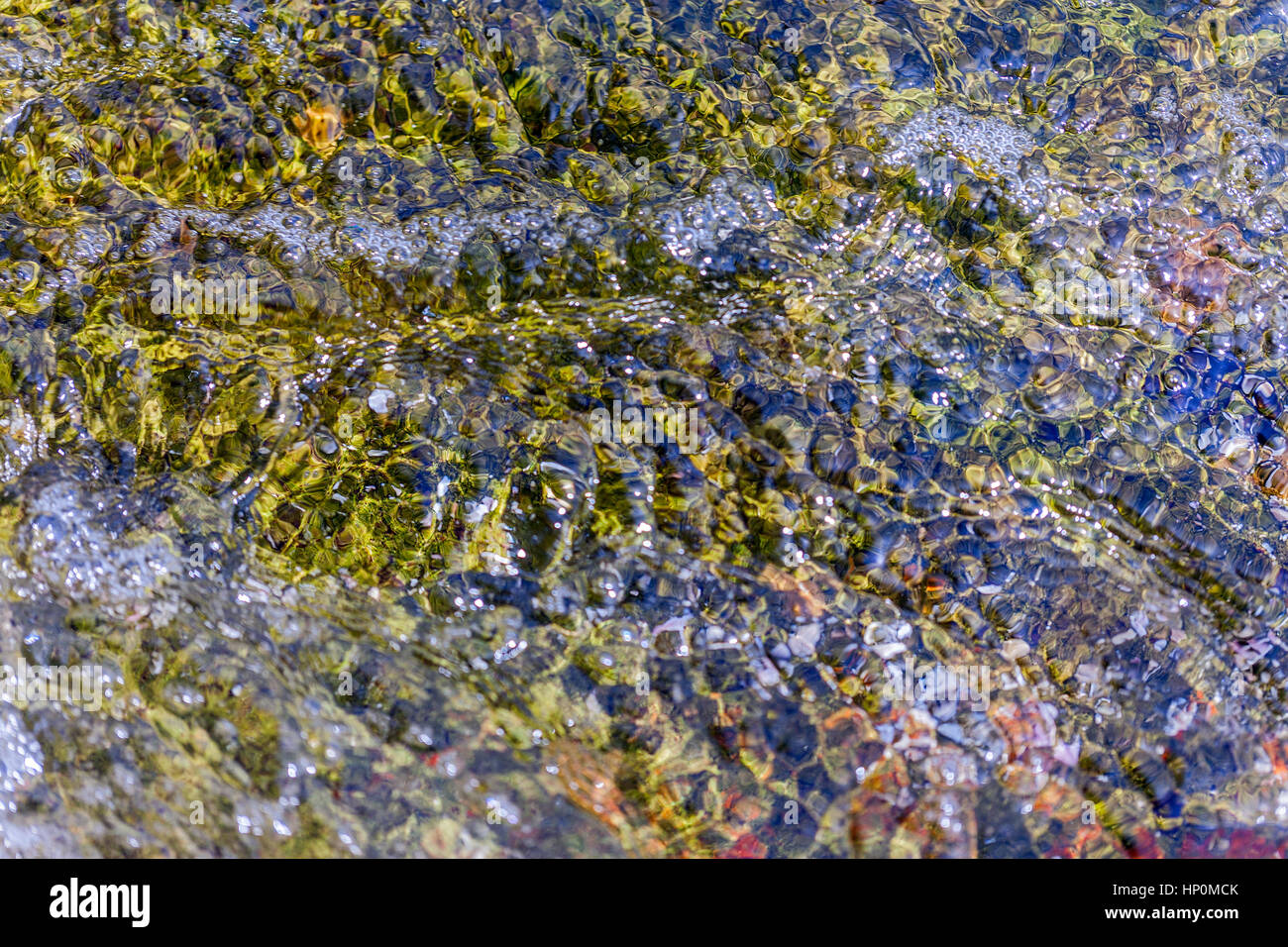 Beautiful colorful texture sea bottom hi-res stock photography and ...