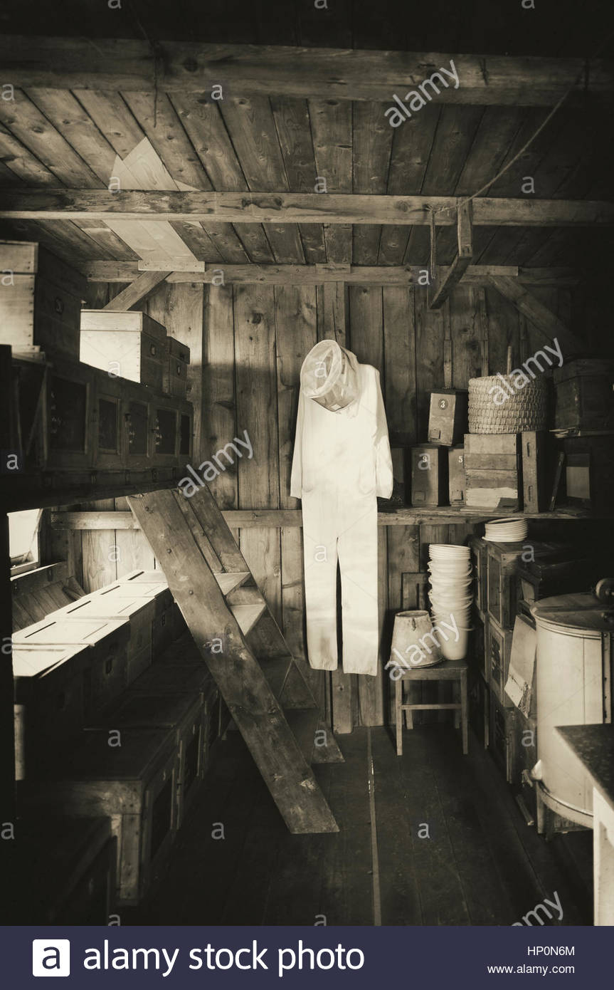 Old Fashioned Bees Stock Photos & Old Fashioned Bees Stock Images - Alamy