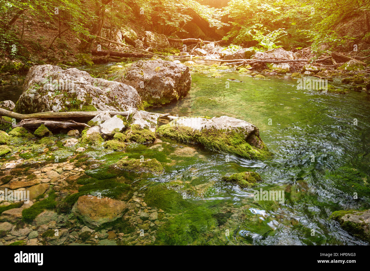 Forest stream running over mossy rocks. The mountain river in Crimea ...