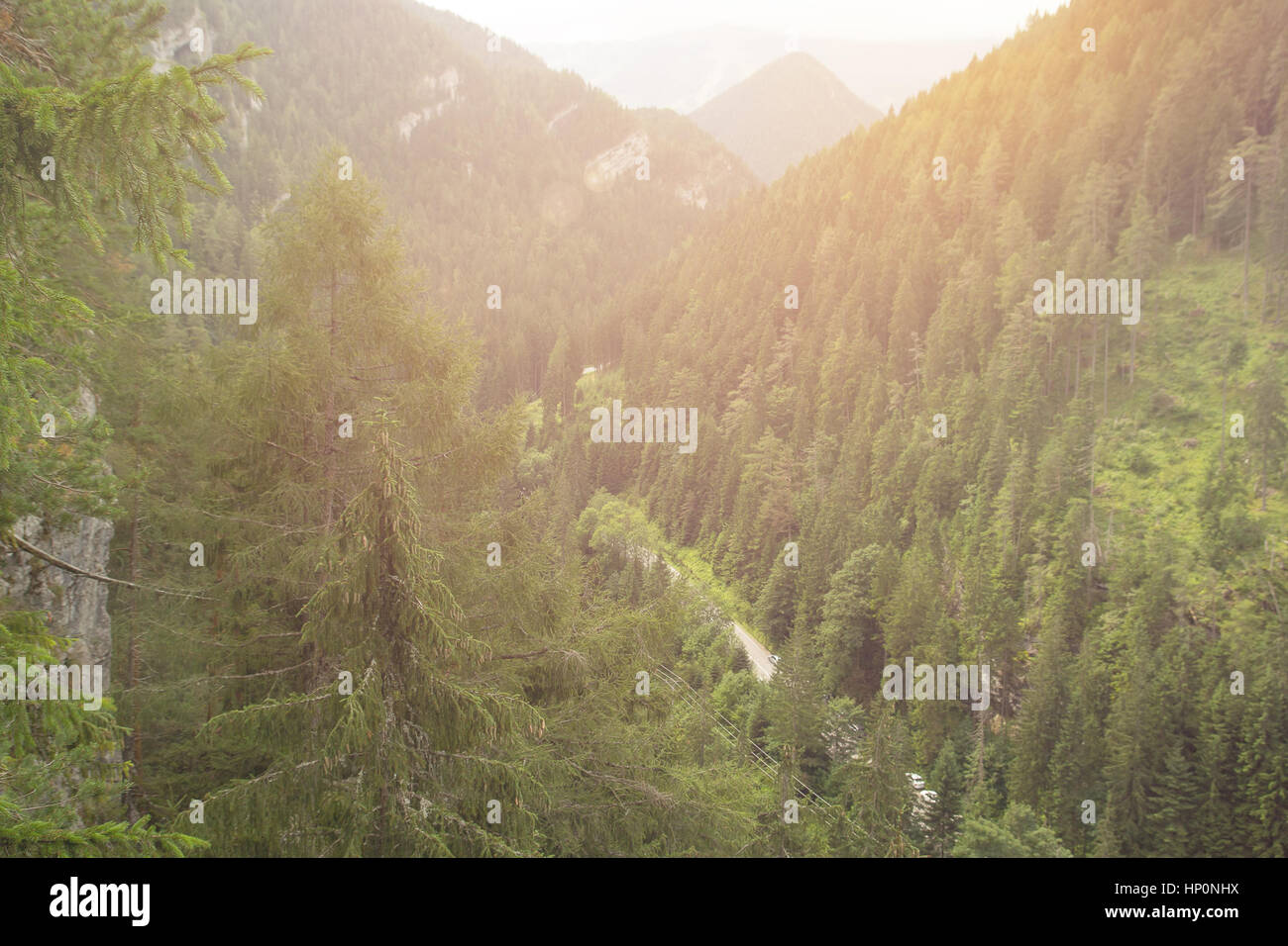 Valley sunny trees mountains hi-res stock photography and images - Alamy