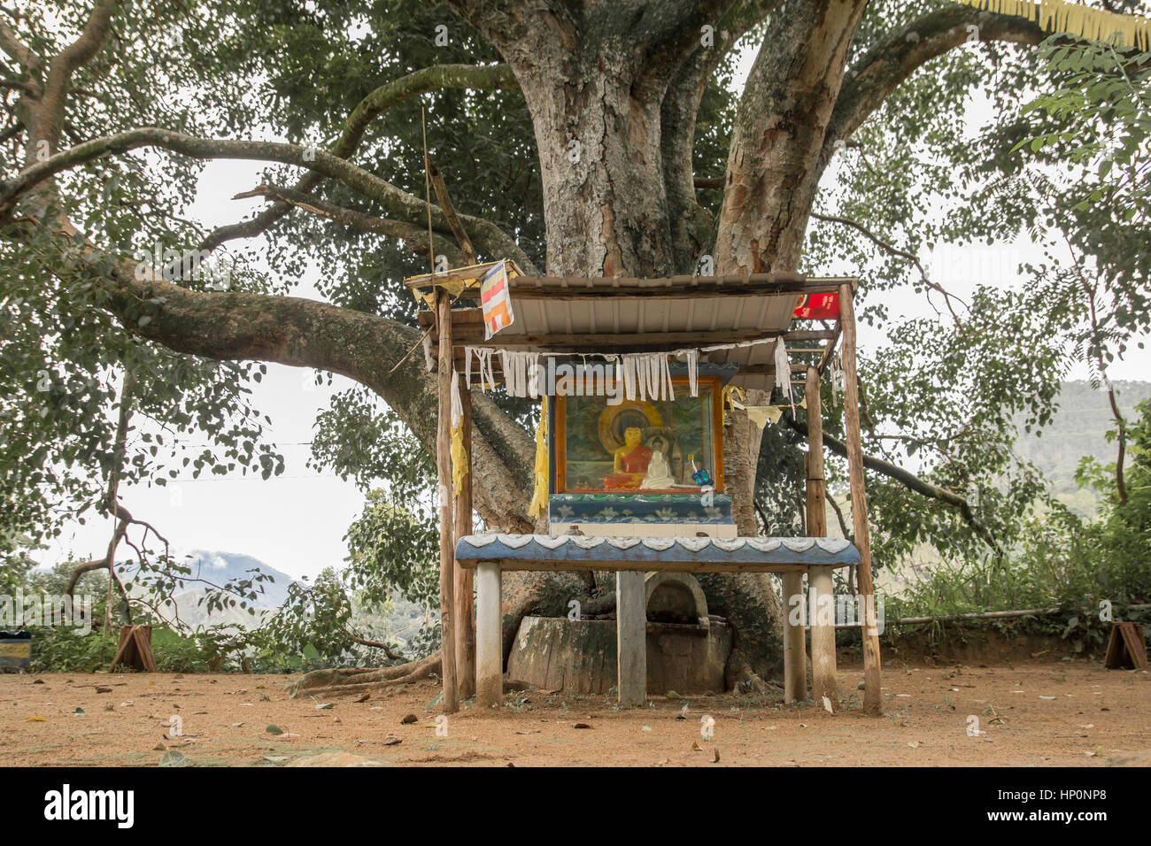 Buddhist altar hi-res stock photography and images - Alamy