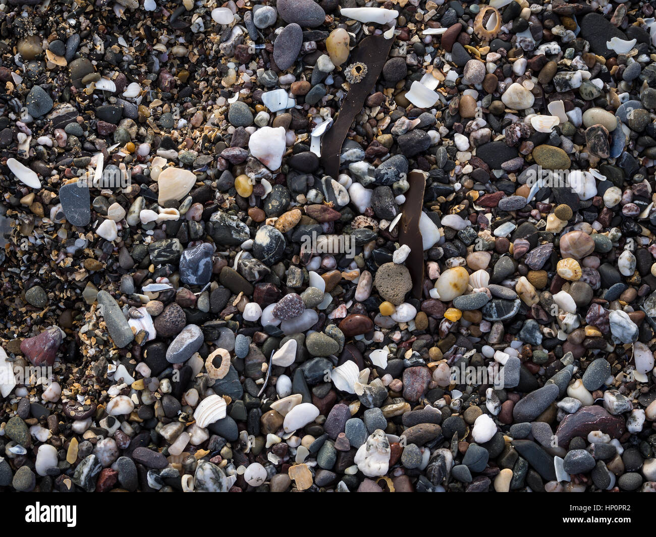 Shingle on a beach Stock Photo - Alamy