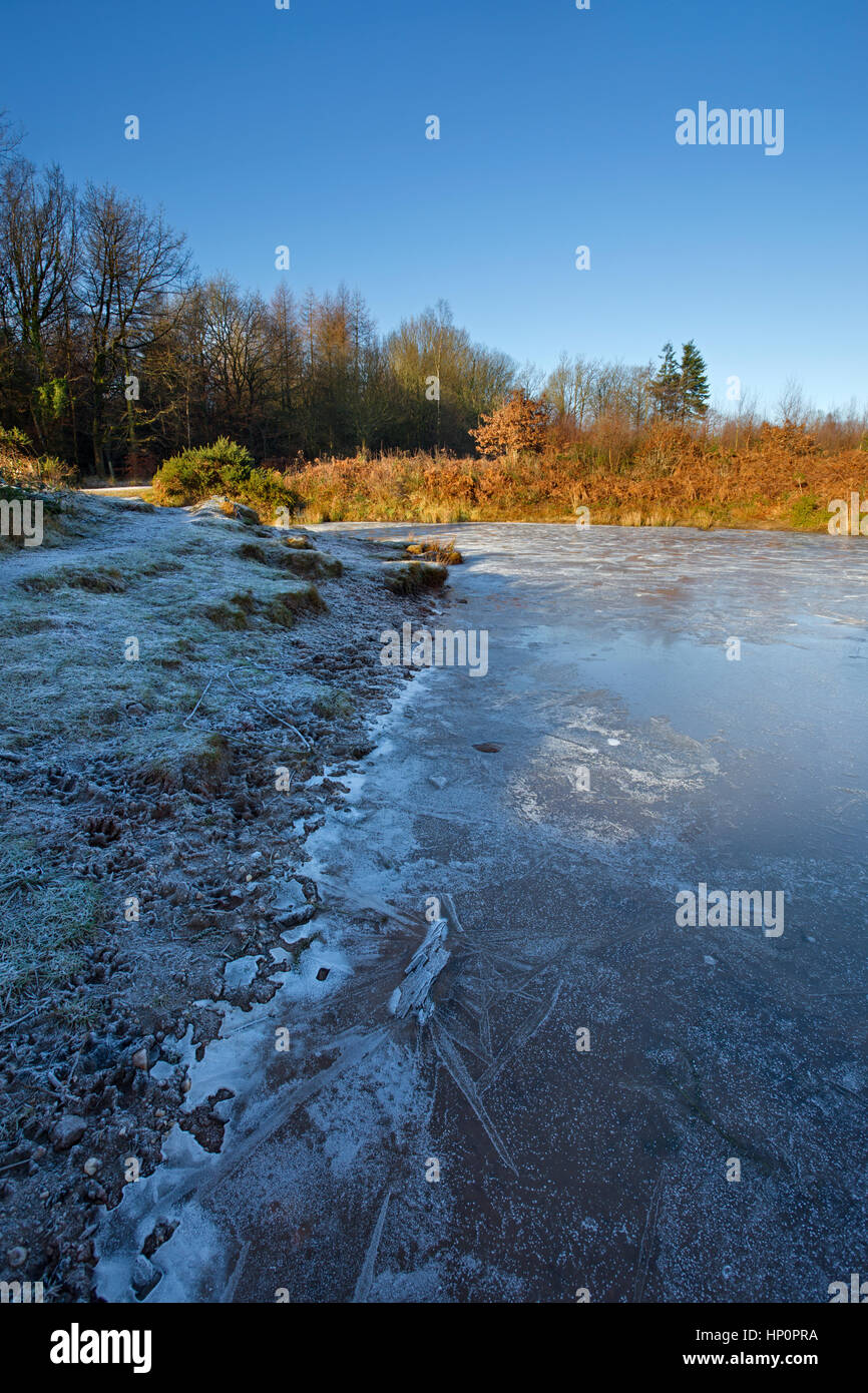 Frozen pond hi-res stock photography and images - Alamy