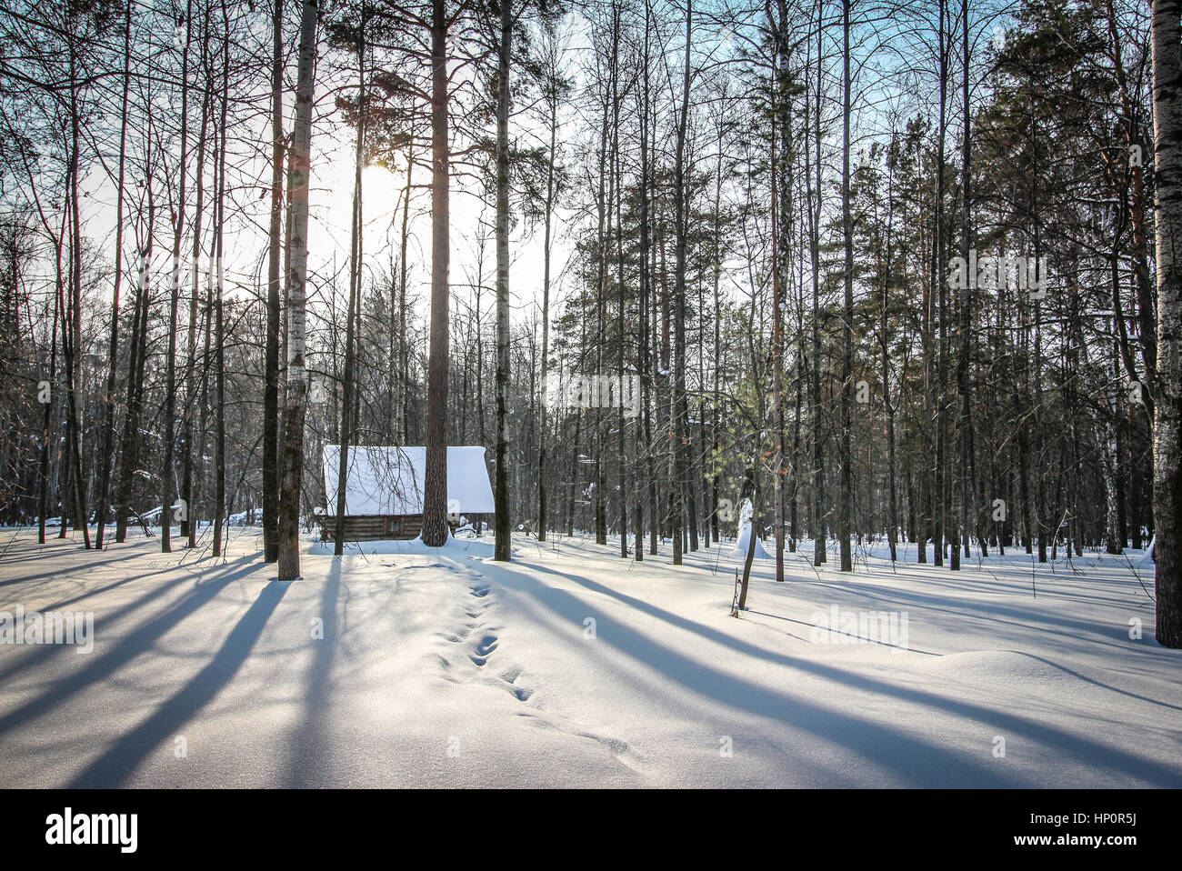 Lonely small hut in the forest Stock Photo - Alamy