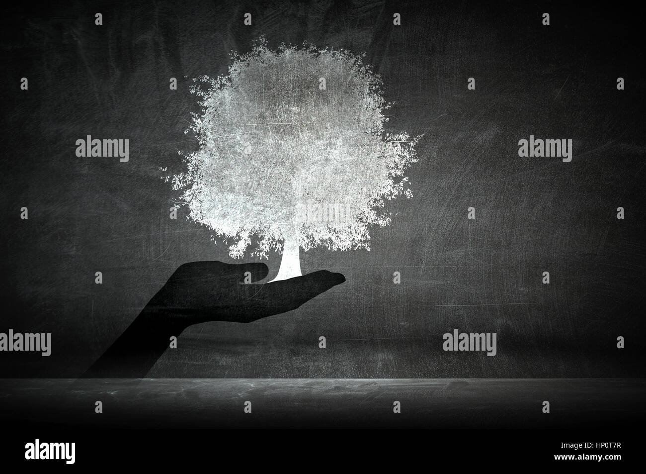 Hand holding tree shadow sign on concrete background Stock Photo - Alamy