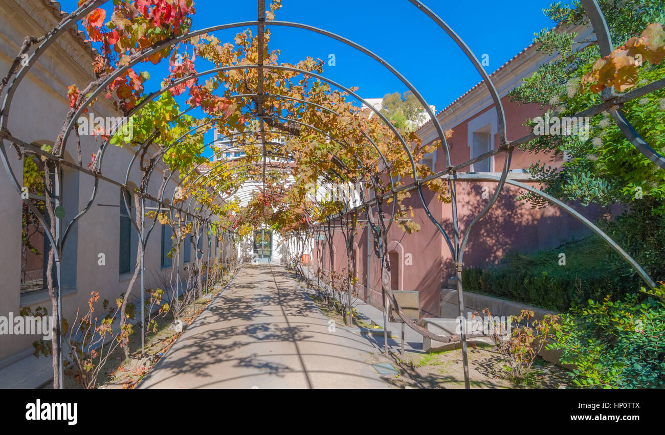 Sunny autumn garden walkway, featuring metal vine growing frame ...
