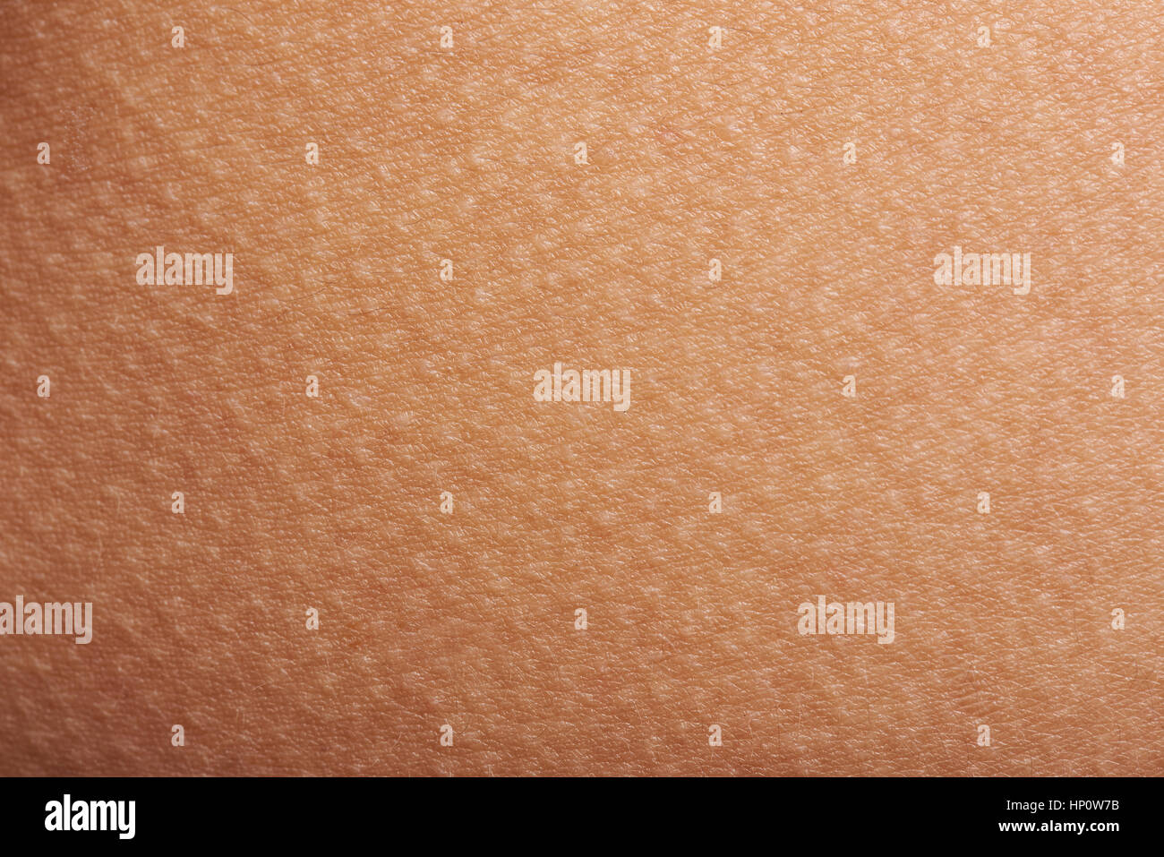 Goosebumps hi-res stock photography and images - Alamy