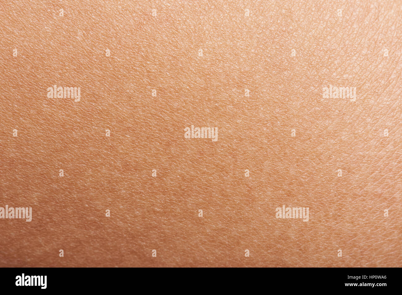 Tan Skin Texture