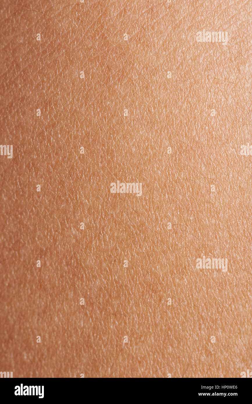 Dark brown human skin surface closeup. Texture of woman skin Stock ...