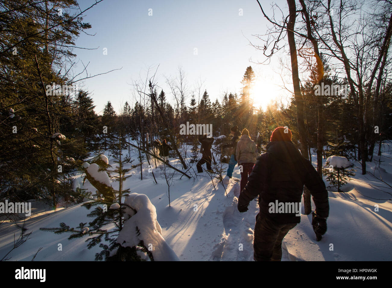 Snowshoeing race during sunset Stock Photo - Alamy
