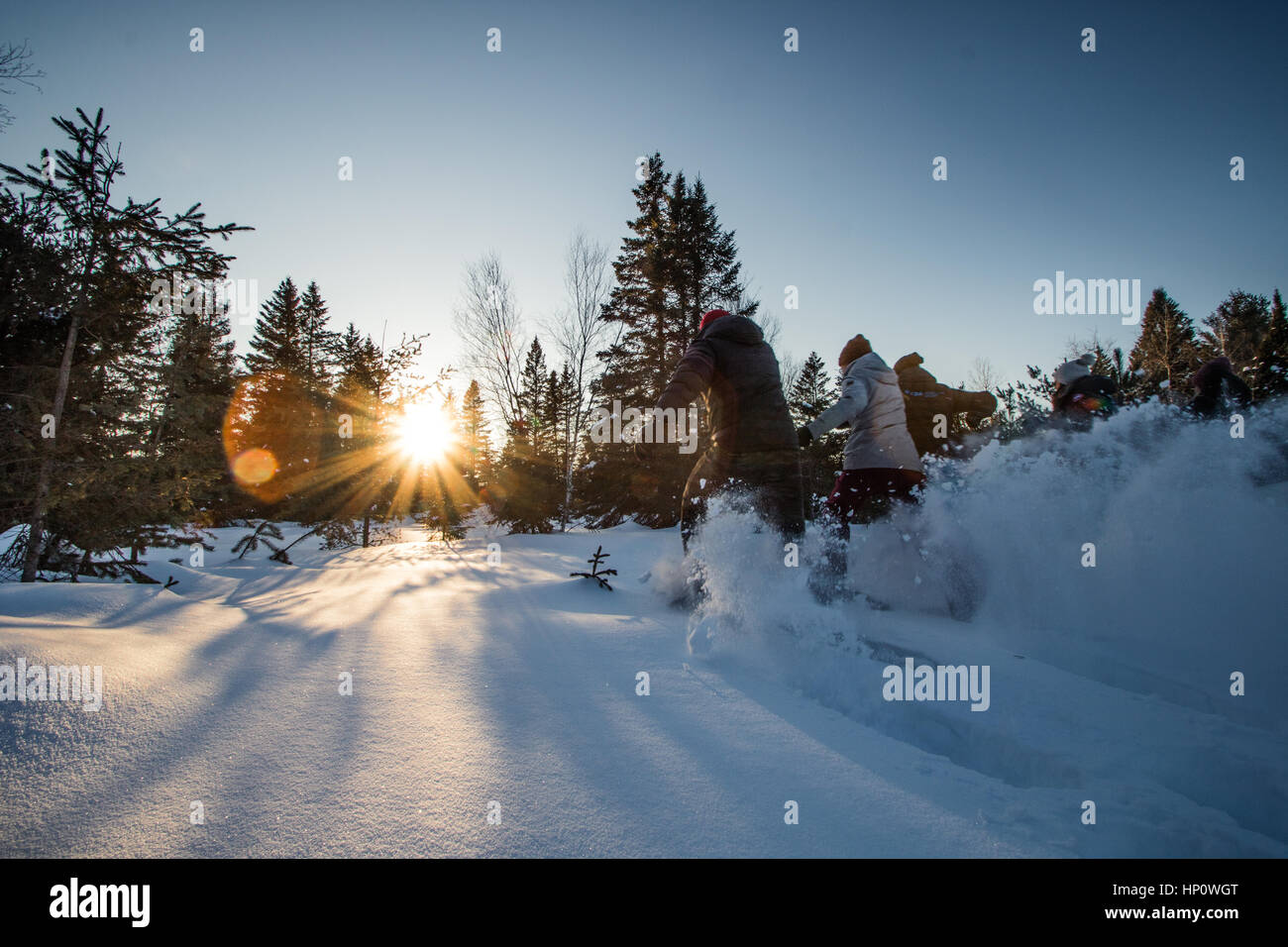 Snowshoeing race during sunset Stock Photo - Alamy