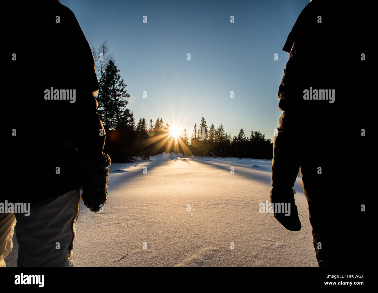 Snowshoeing race during sunset Stock Photo - Alamy