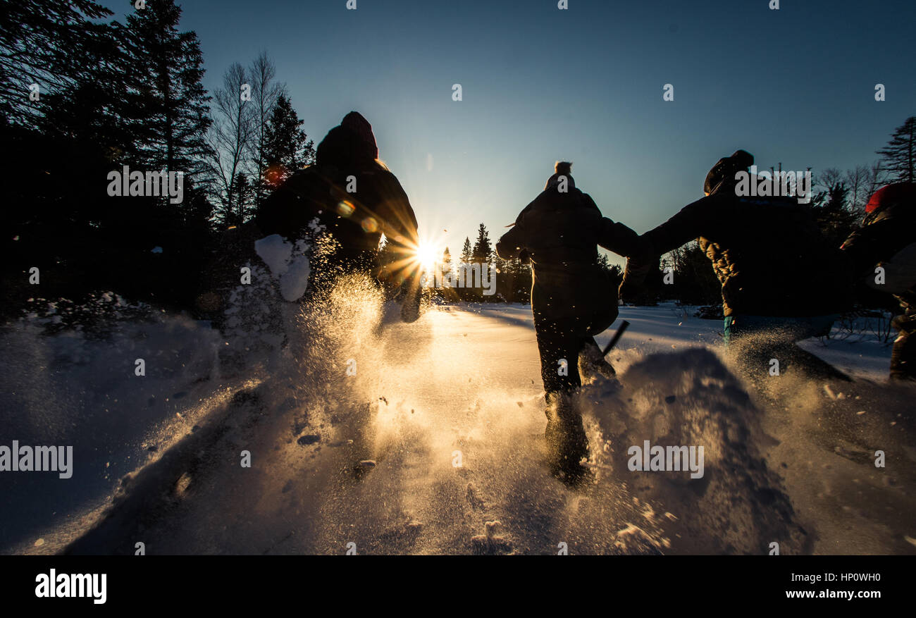 Snowshoeing race during sunset Stock Photo - Alamy