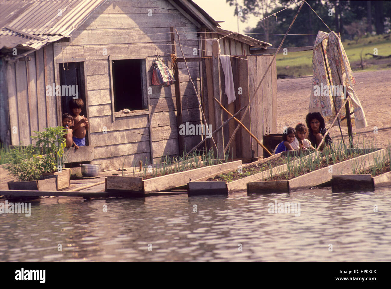 Living in the amazon river hi-res stock photography and images - Alamy