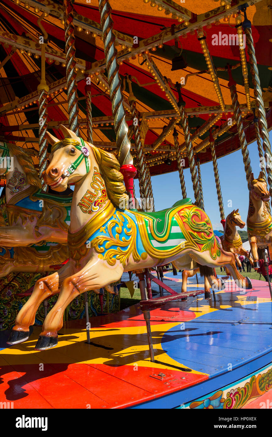 Gallopers hi-res stock photography and images - Alamy