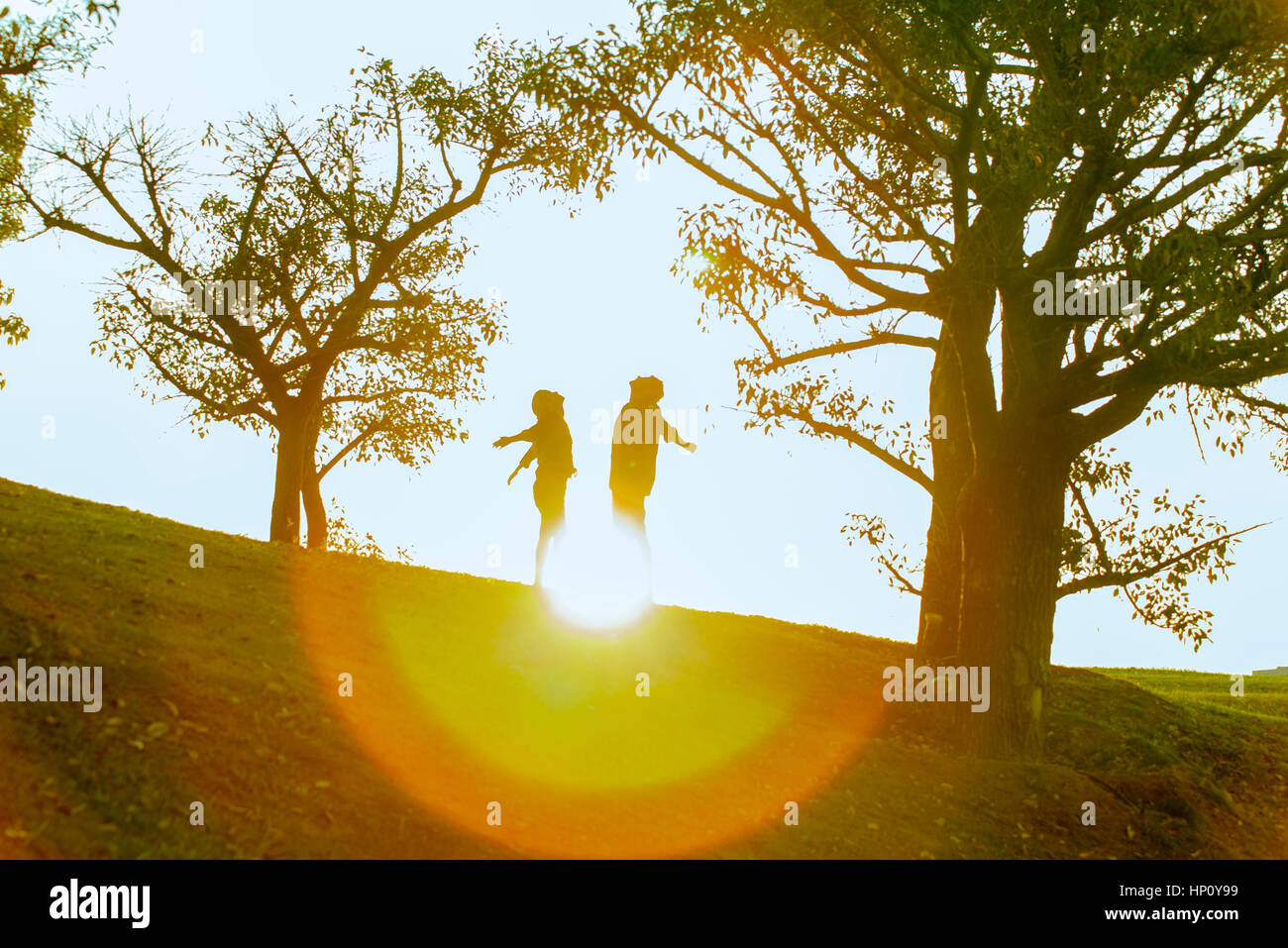 Sunlight overexposure hi-res stock photography and images - Alamy