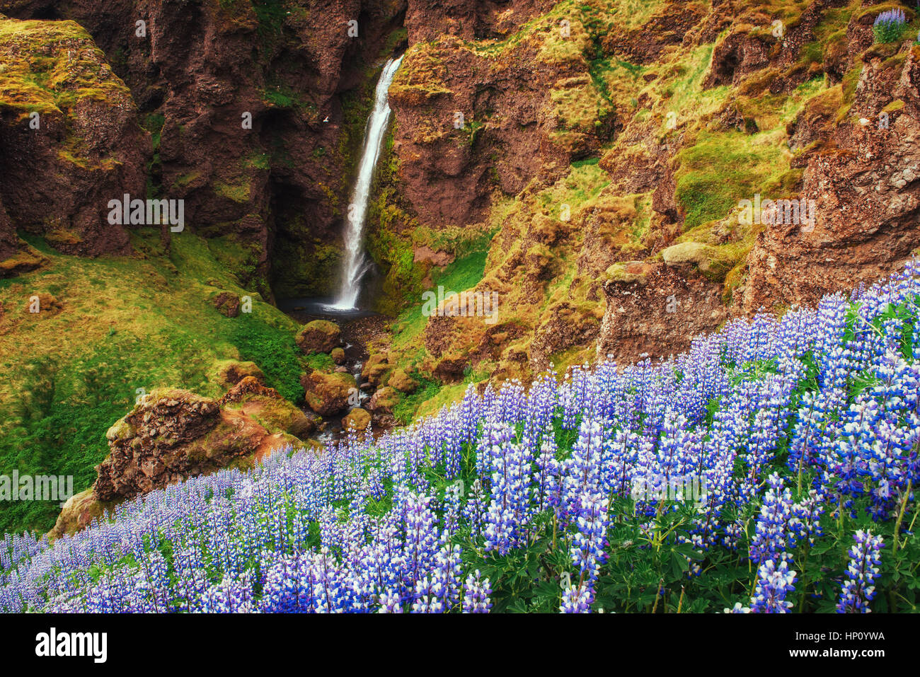 The picturesque landscapes of forests and mountains Stock Photo - Alamy