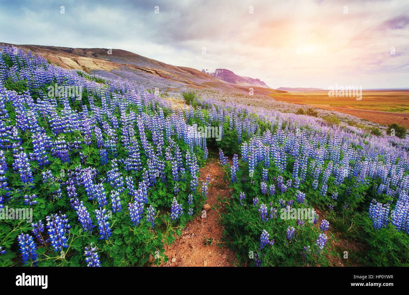 The picturesque landscapes of forests and mountains Stock Photo - Alamy