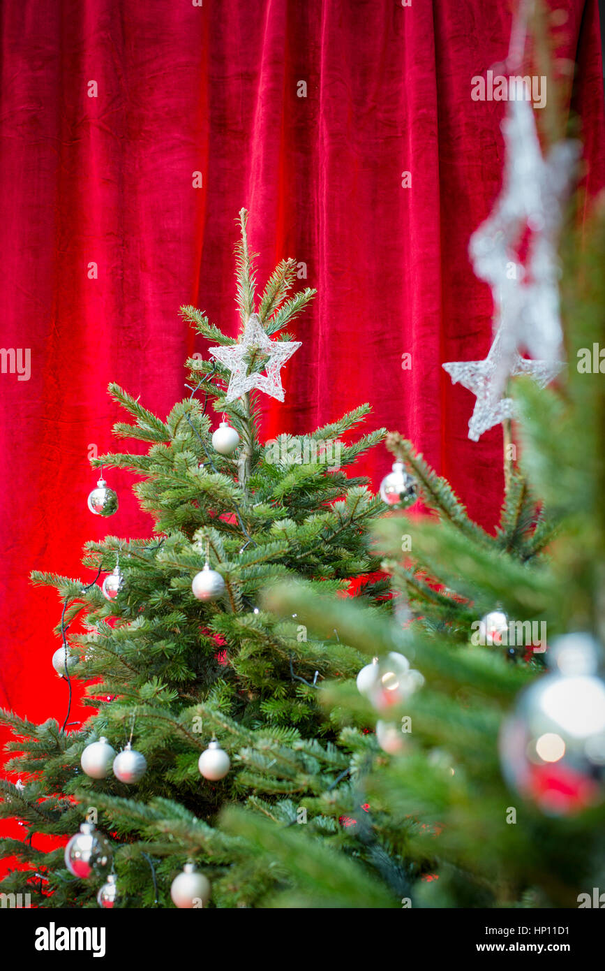 Christmas tree without decoration hi-res stock photography and images ...