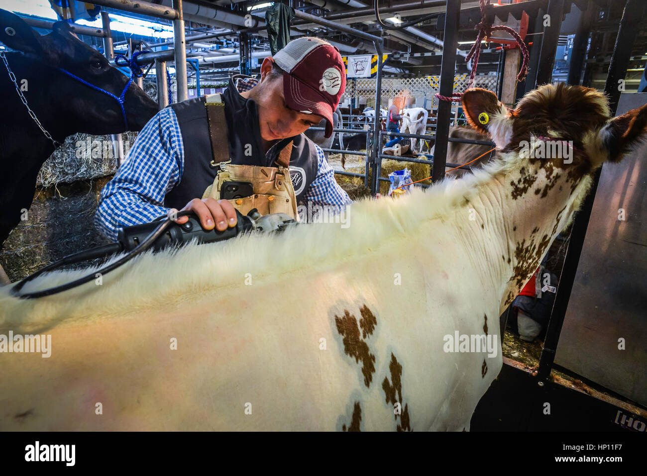 Annual Pennsylvania Farm show, Harrisburg, PA Stock Photo - Alamy