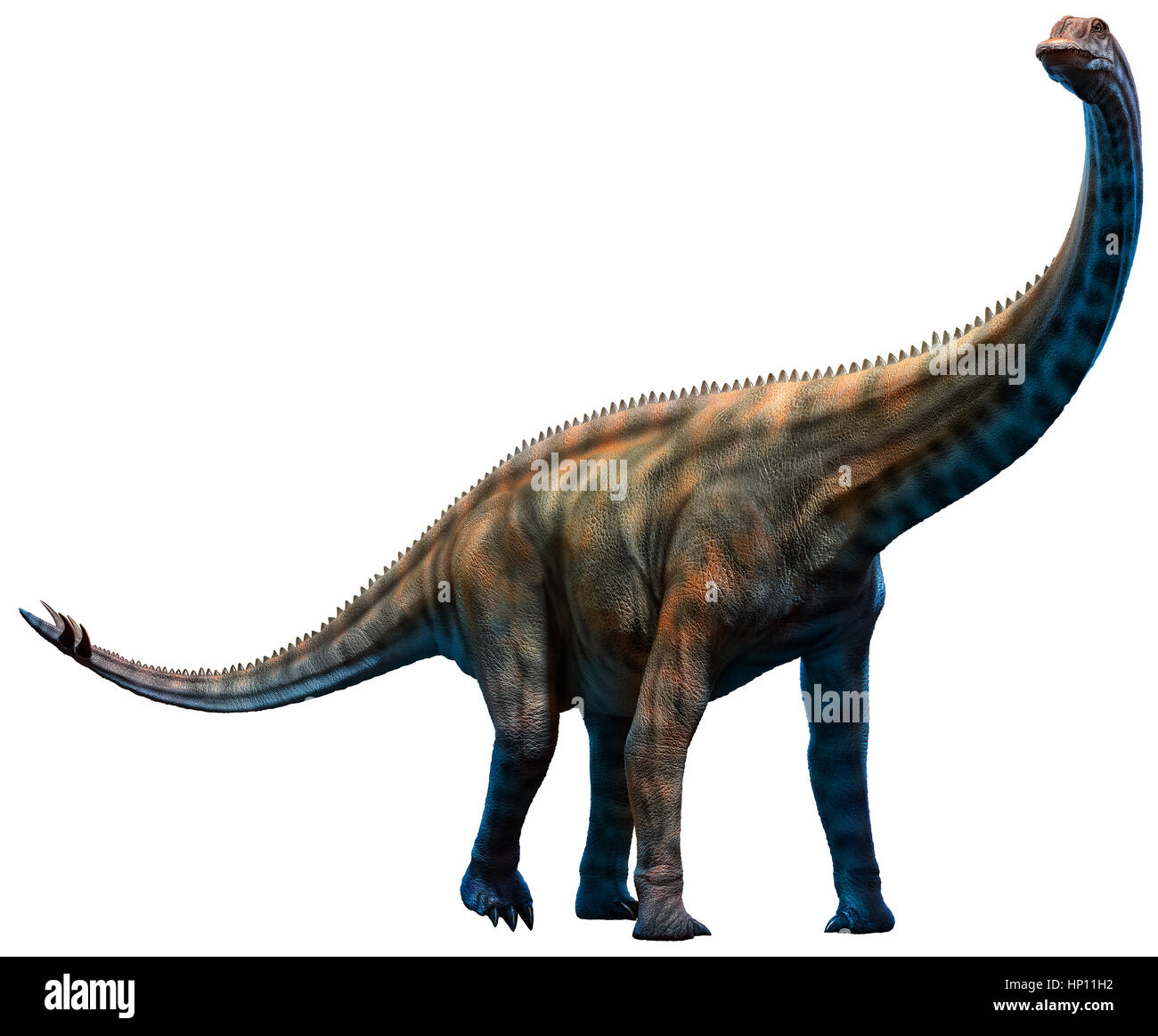 Spinophorosaurus sauropod dinosaur hi-res stock photography and images ...