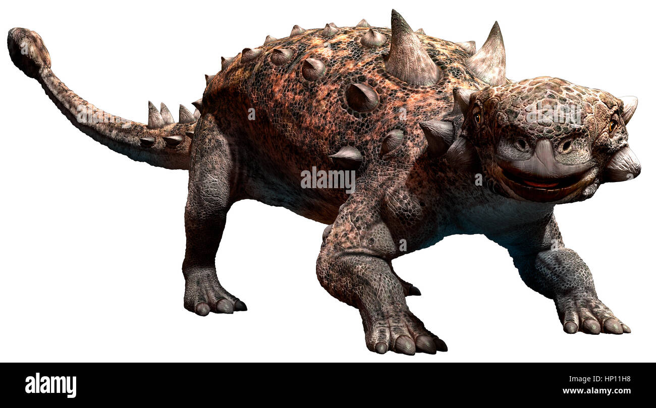 Euoplocephalus hi-res stock photography and images - Alamy