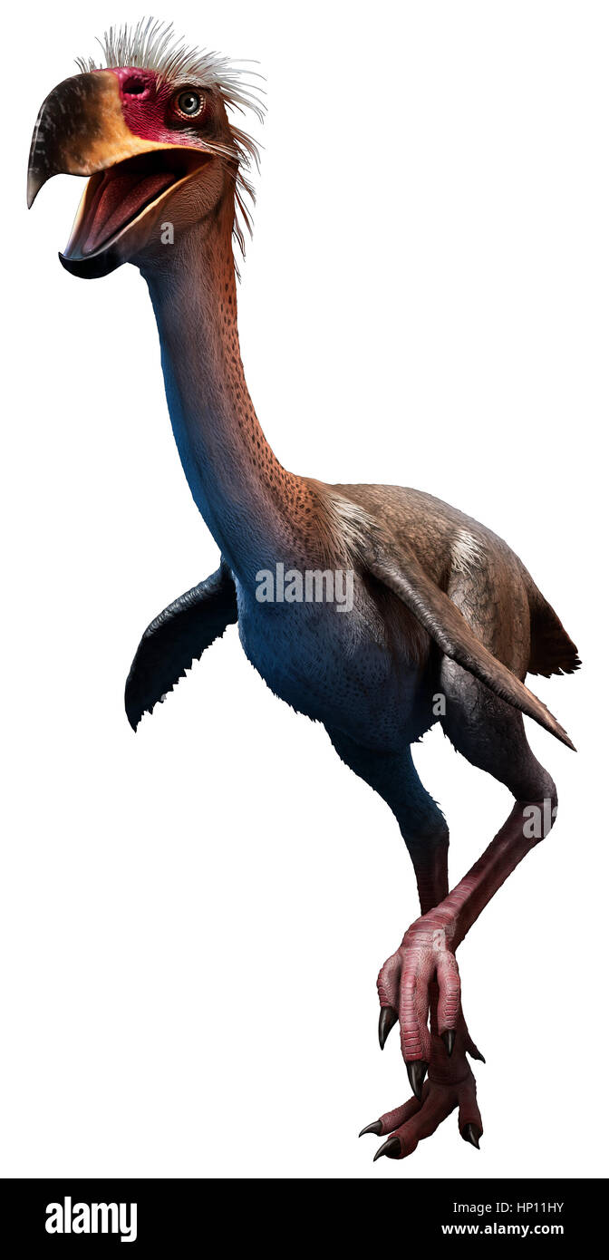 10 000 Bc Terror Birds