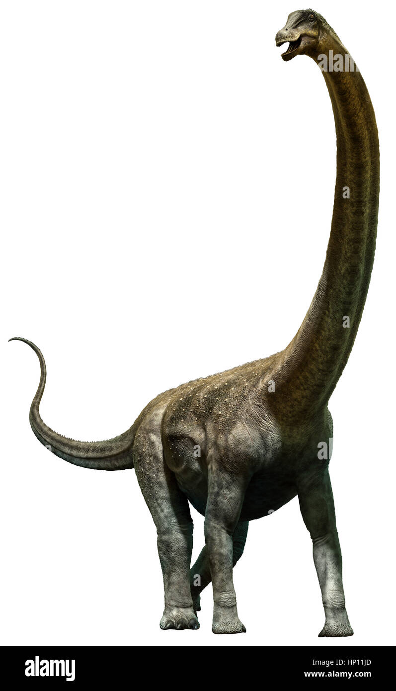 Titanosaurid hi-res stock photography and images - Alamy