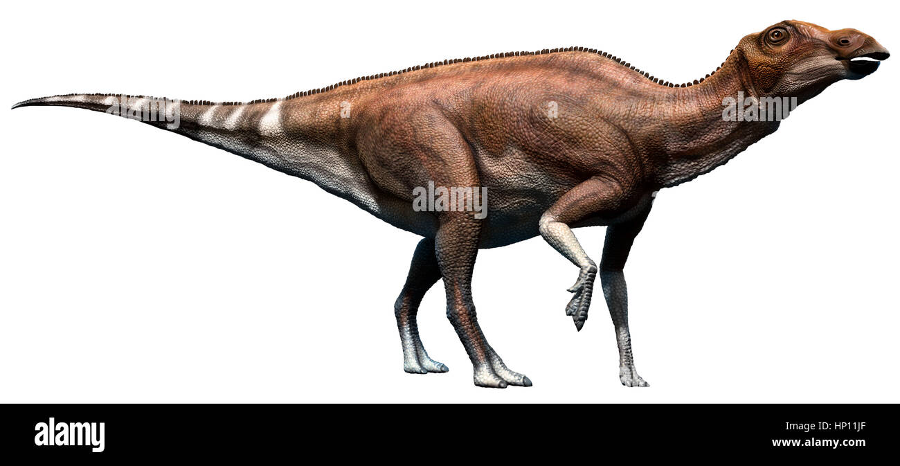 Dinosaur King Brachylophosaurus