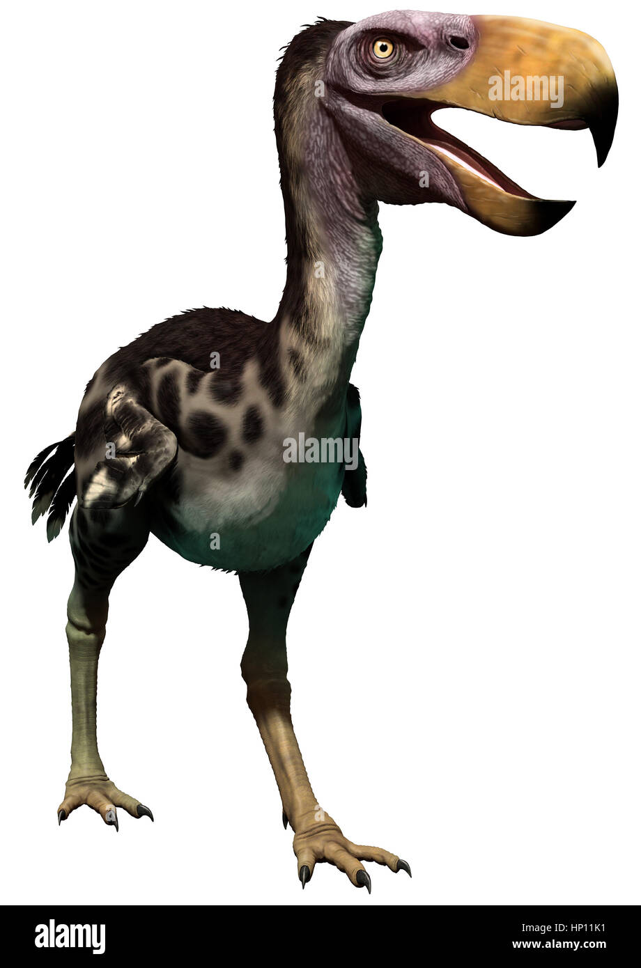 Kelenken hi-res stock photography and images - Alamy