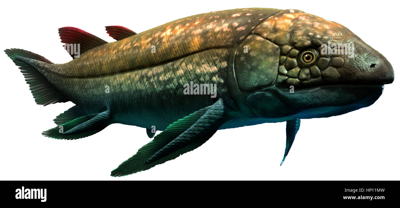 Devonian fish hi-res stock photography and images - Alamy